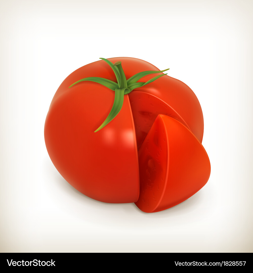 Tomato Royalty Free Vector Image - VectorStock