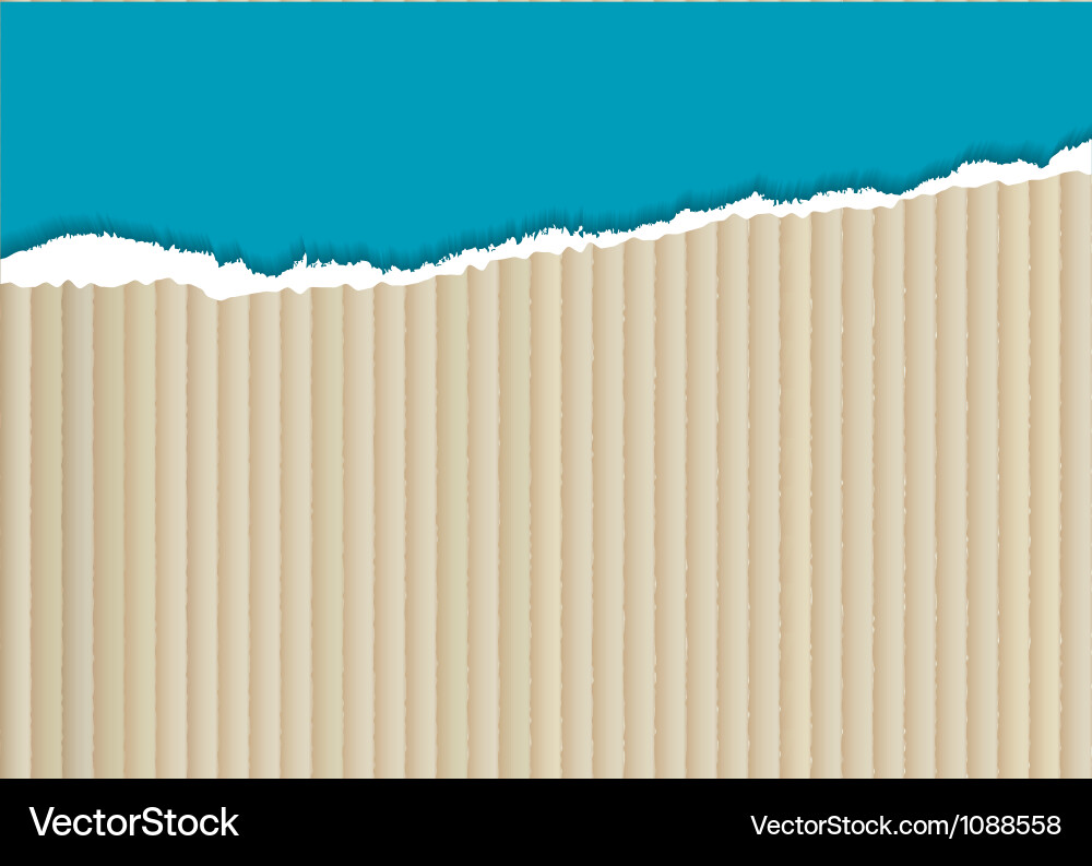 Cardboard torn edge Royalty Free Vector Image - VectorStock