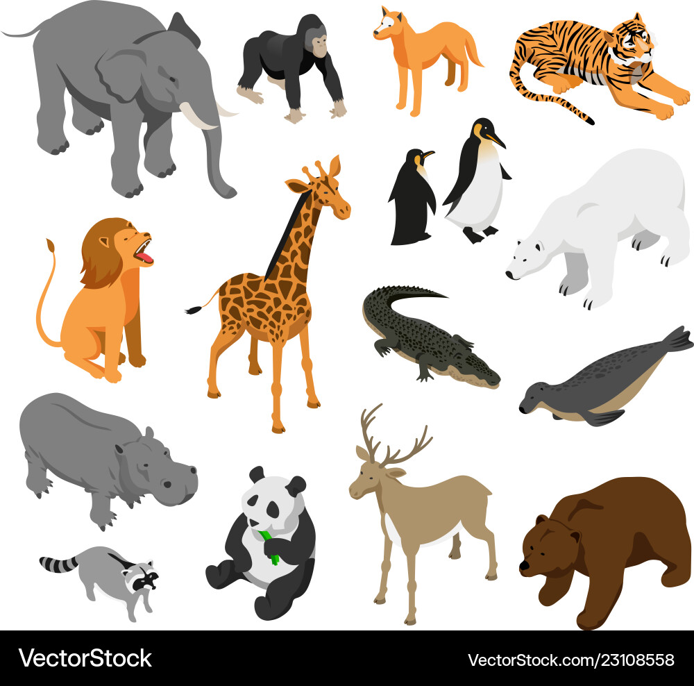 Isometric Zoo Animal Collection Royalty Free Vector Image