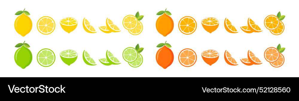 Citrus slices set lemon lime orange Royalty Free Vector