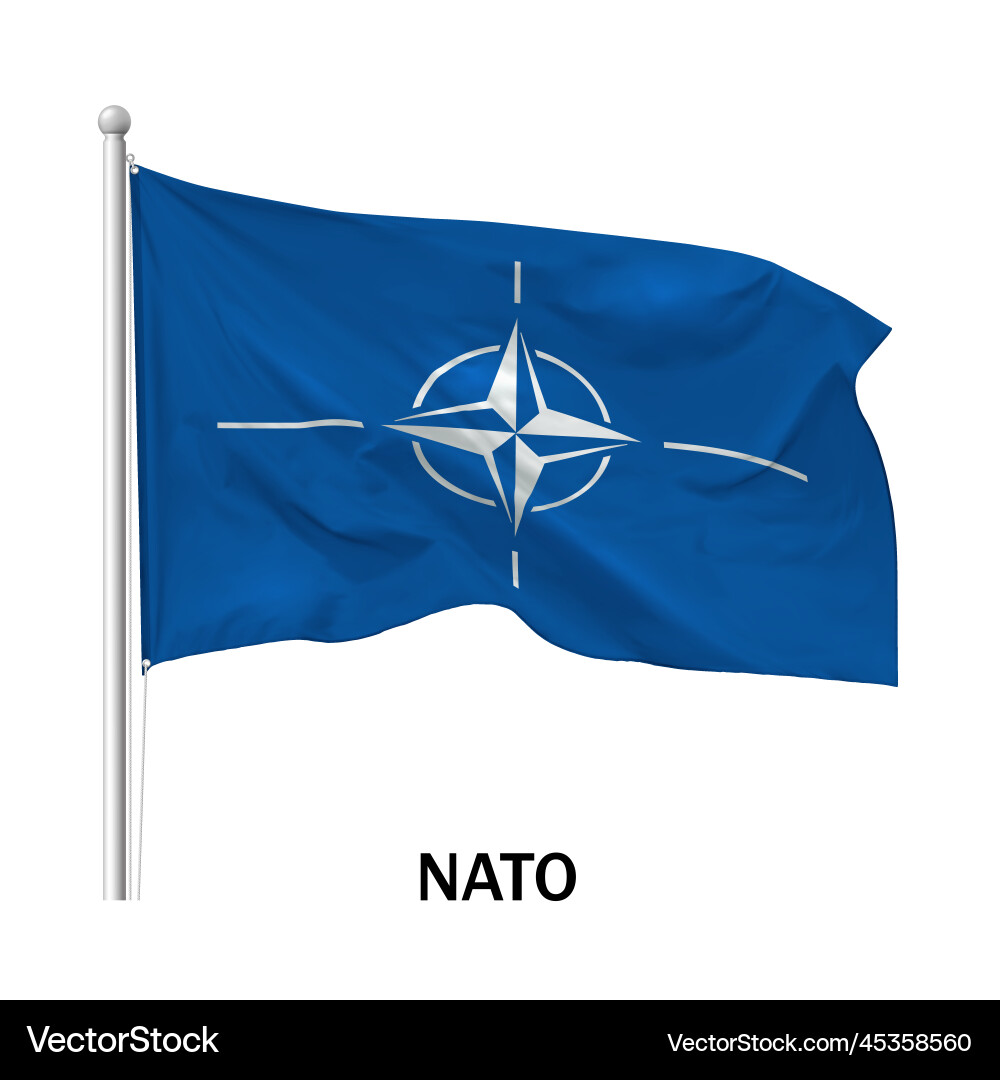 Flag of the nato Royalty Free Vector Image - VectorStock