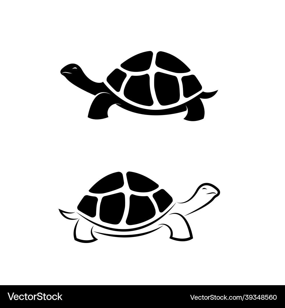 Tortoise Icon Vector Images (over 9,000)