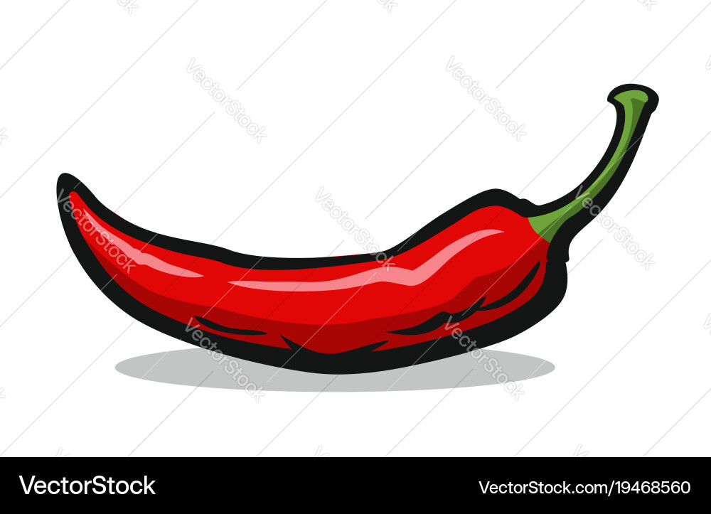 Red hot chili pepper Royalty Free Vector Image
