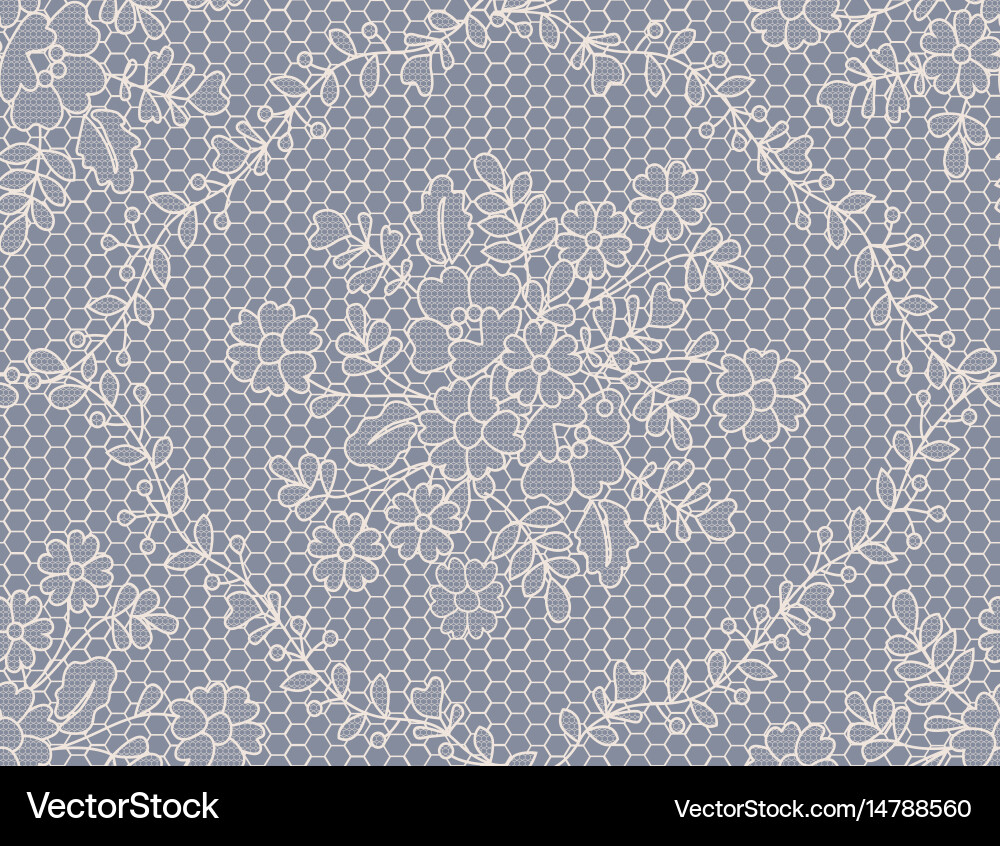 Seamless white lace Royalty Free Vector Image - VectorStock