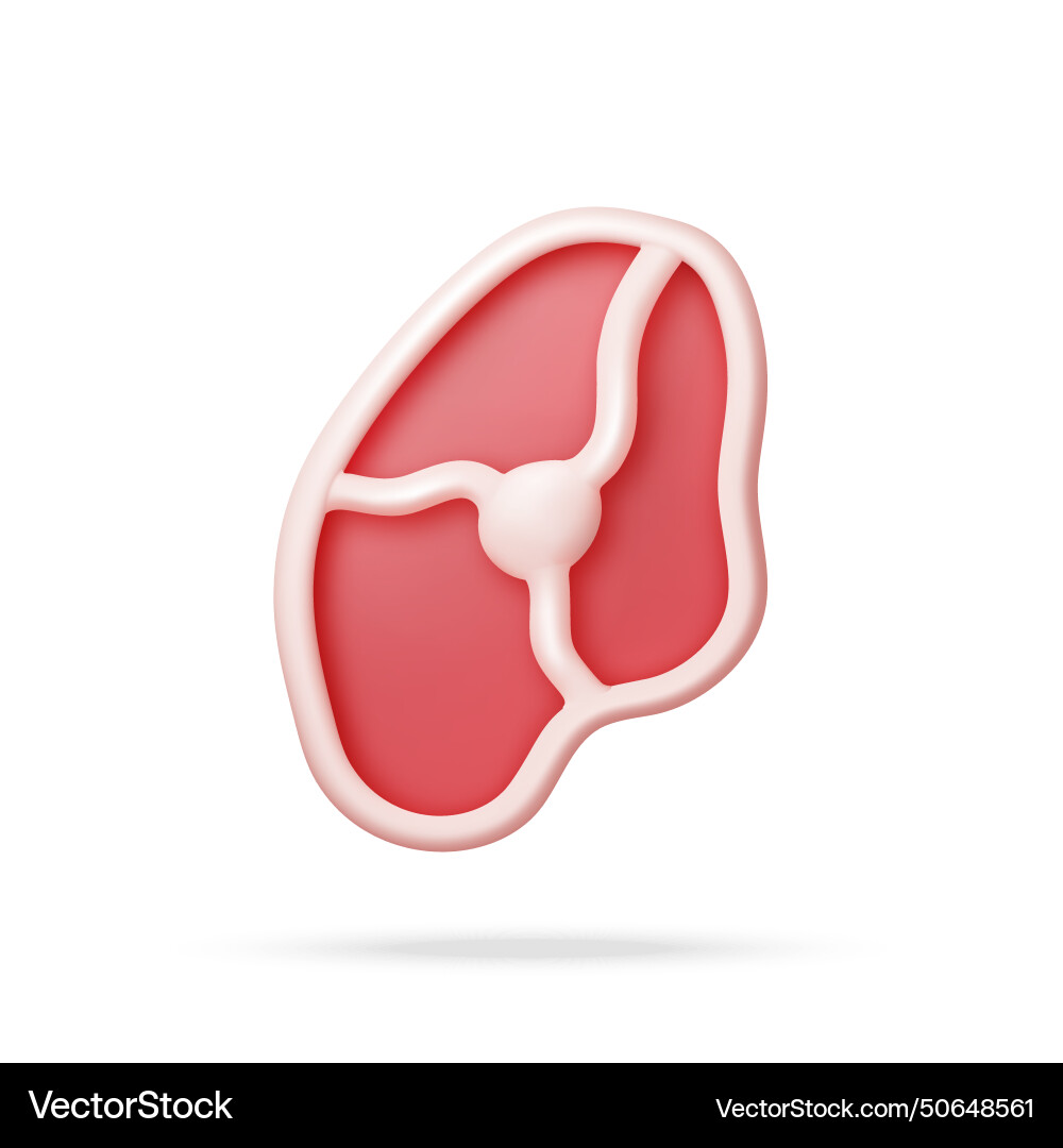 3d meat steak isolated on white Royalty Free Vector Image