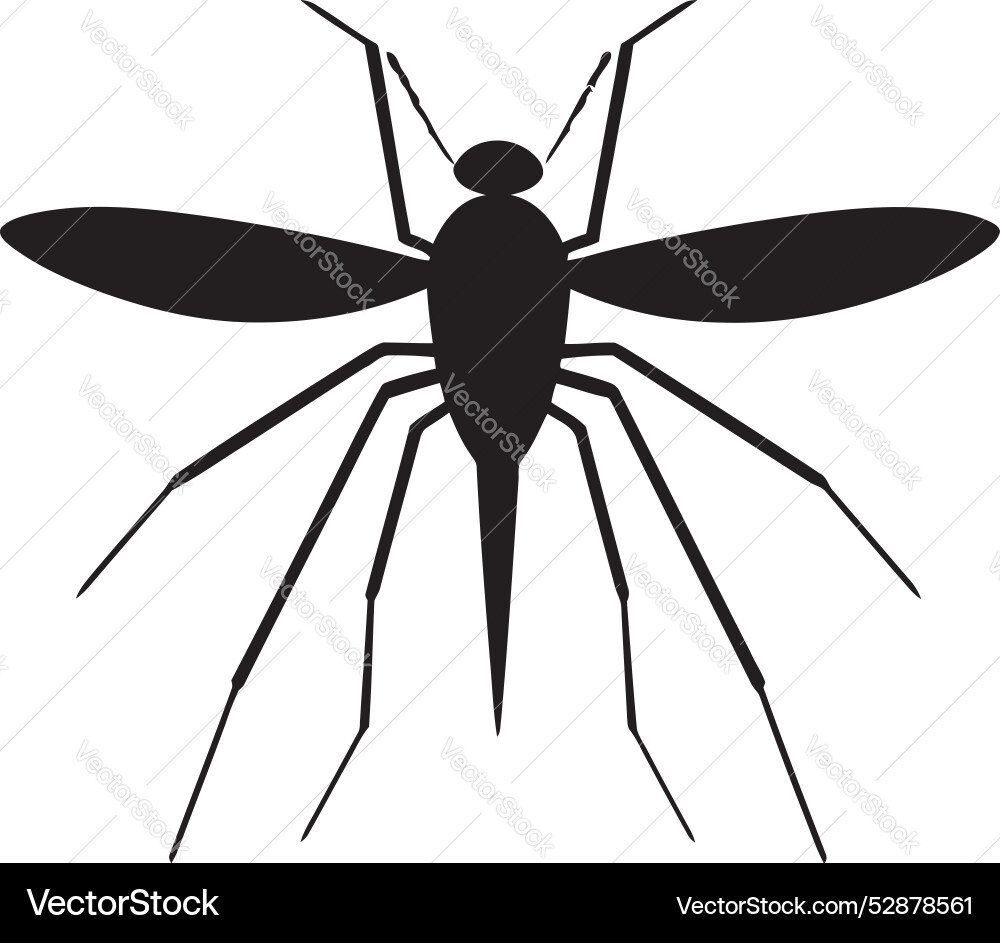 Abstract mosquito graphic intricate mosquito Vector Image