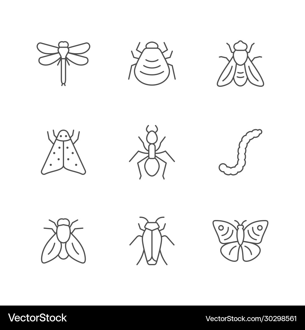 Set line icons insect Royalty Free Vector Image