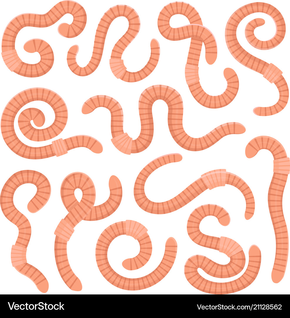Earthworms crawling set Royalty Free Vector Image