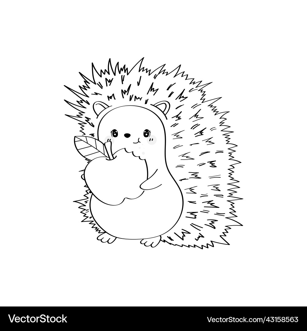 Adorable Hedgehog Coloring Page Royalty Free Vector Image