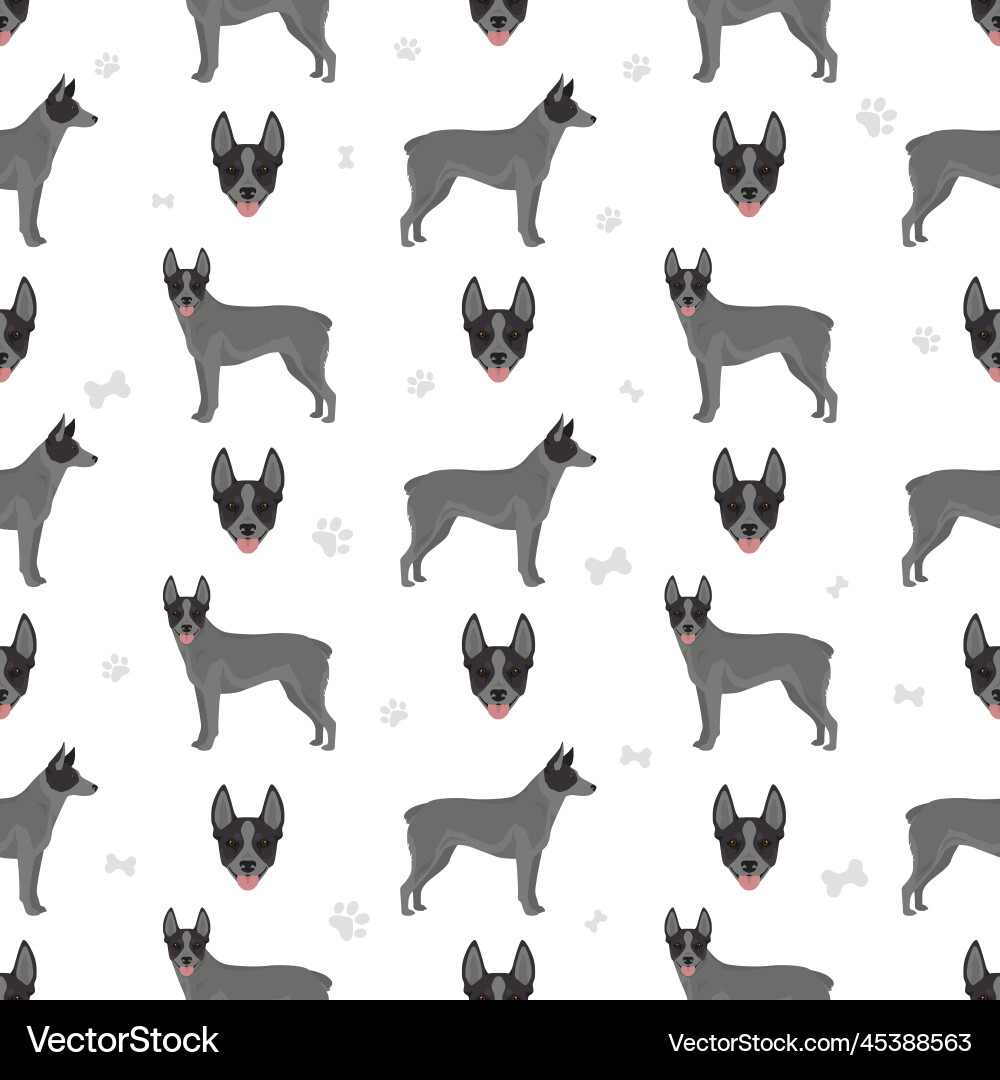 Australian stumpy tail cattle dog seamless pattern