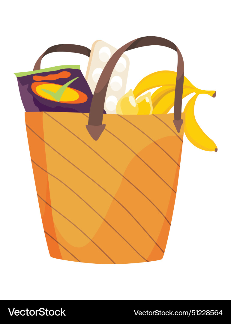 Paper shopping bag products grocery different Vector Image