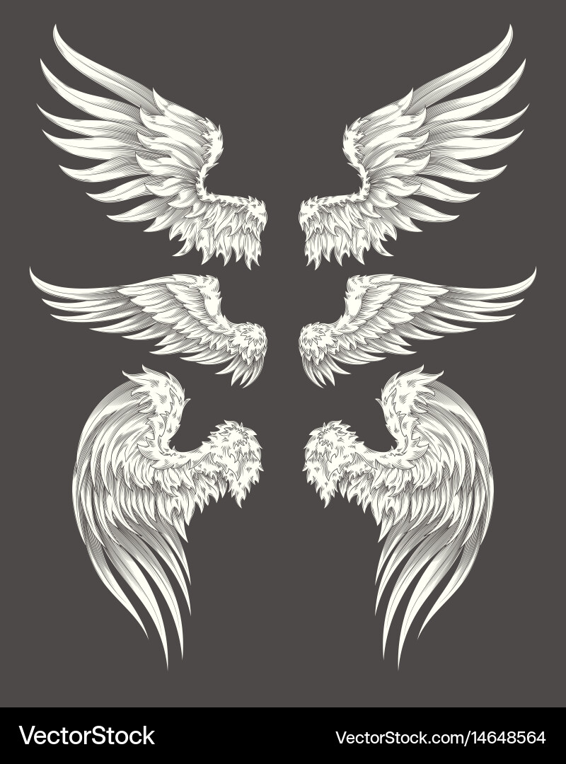 Seraphic Wing Collection Royalty Free Vector Image