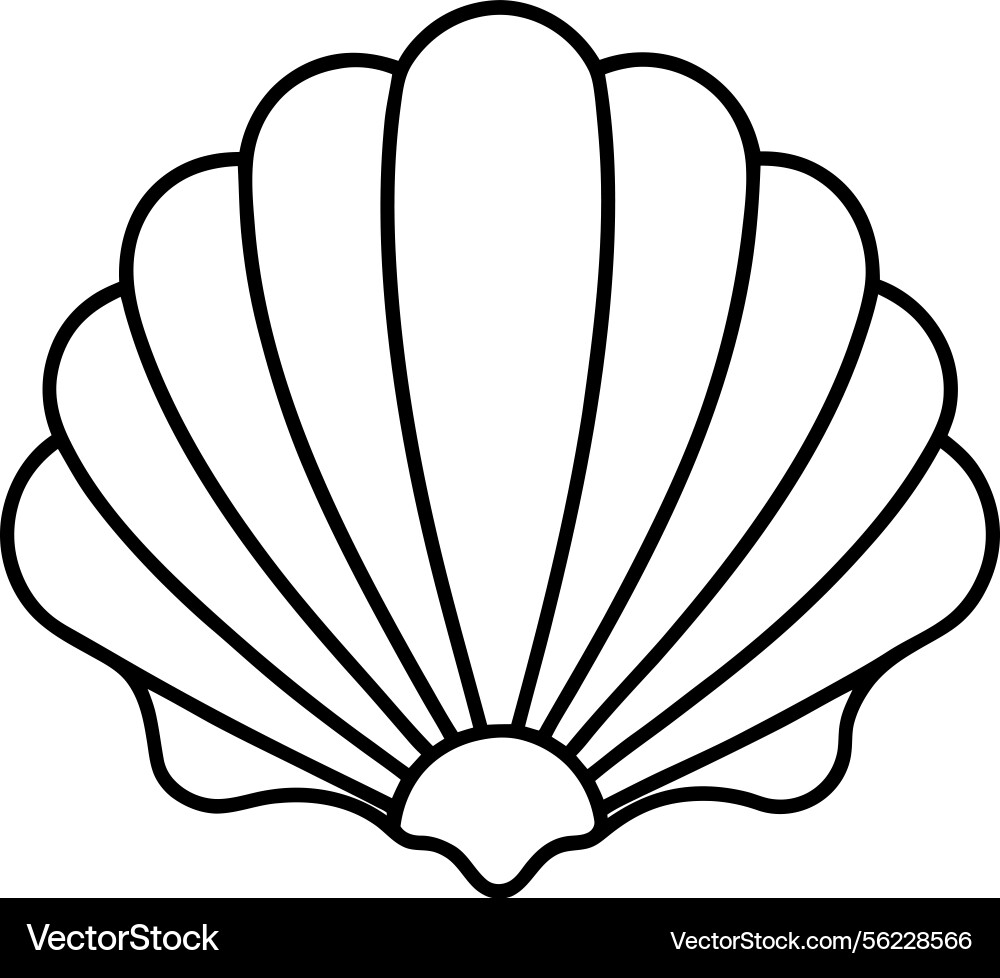 Simple seashell line art Royalty Free Vector Image