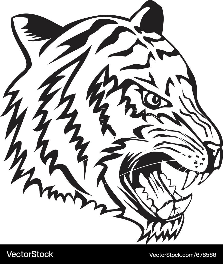 Tiger Royalty Free Vector Image - VectorStock