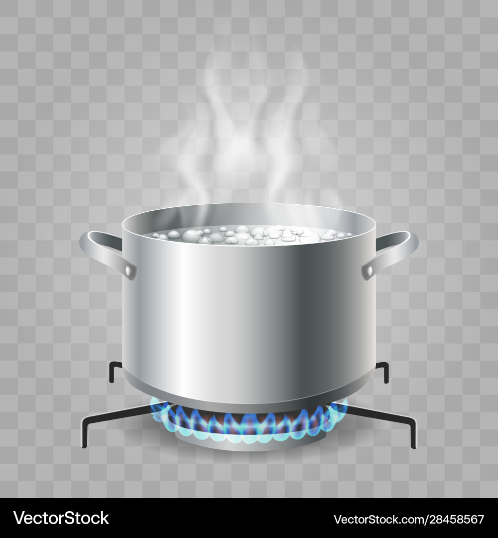 Cooking boiling water Royalty Free Vector Image