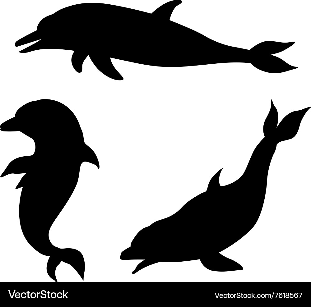 Dolphin set Royalty Free Vector Image - VectorStock
