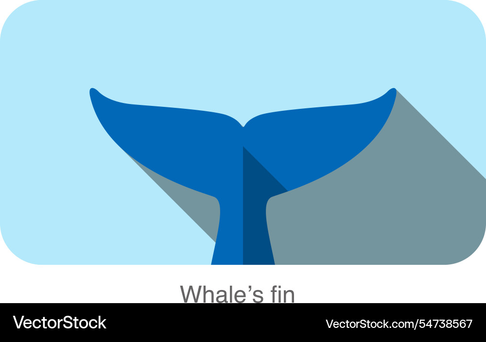 Whale fin flat icon design Royalty Free Vector Image