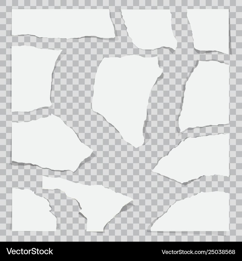Paper torn to pieces scrap Royalty Free Vector Image