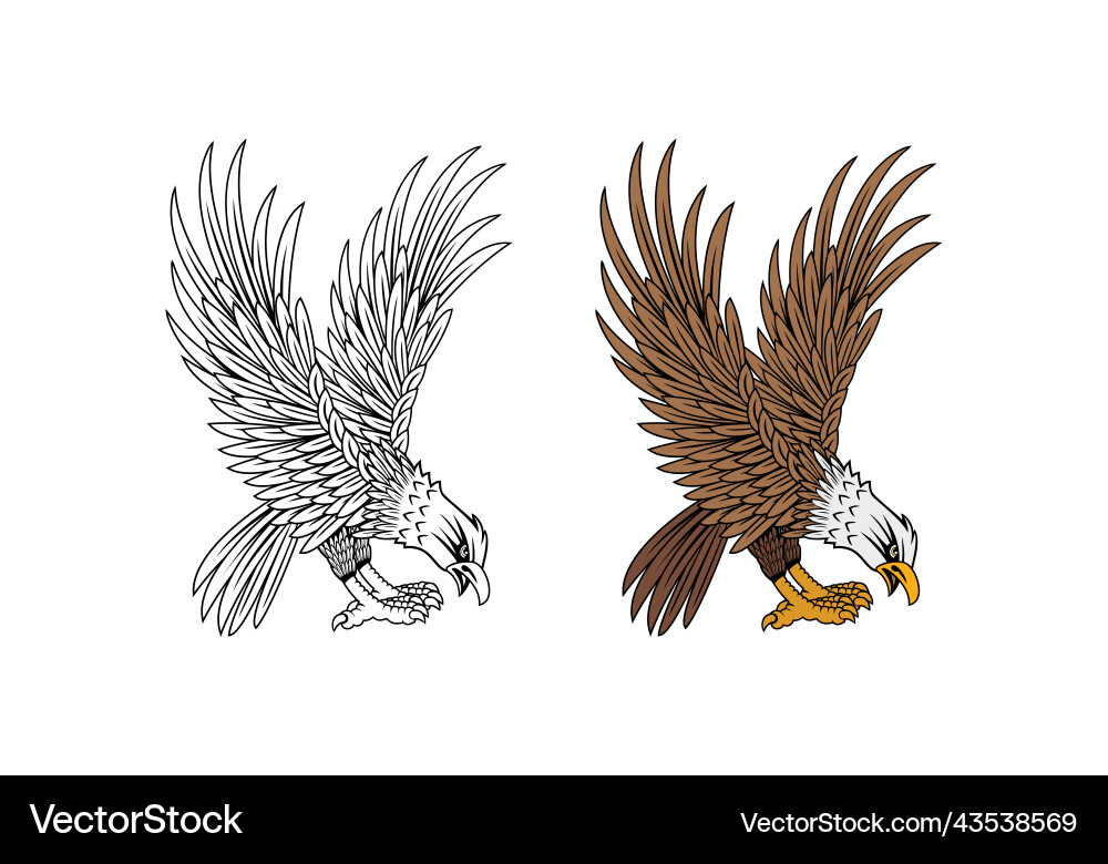 United state marine corps eagle ega design eps Vector Image
