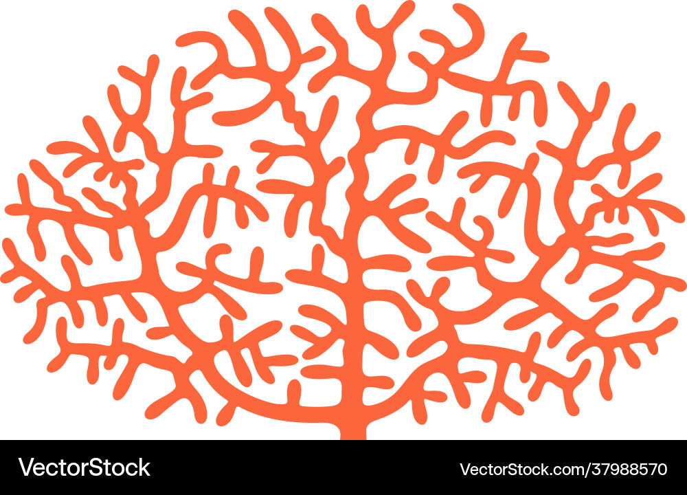 Coral Royalty Free Vector Image - VectorStock
