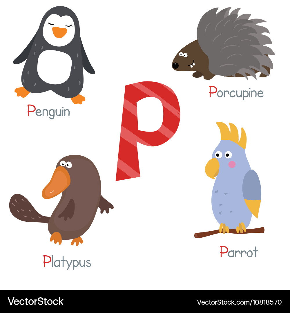 Cute zoo alphabet Royalty Free Vector Image - VectorStock