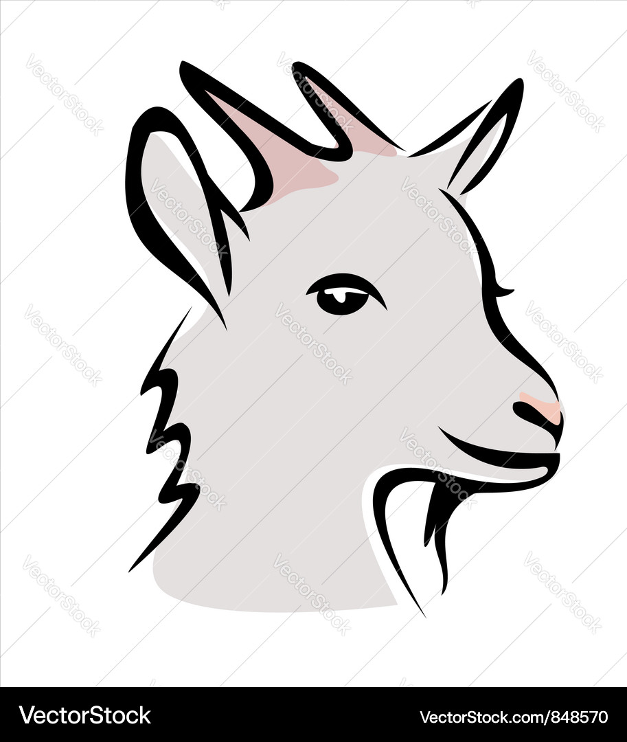Goat portrait Royalty Free Vector Image - VectorStock