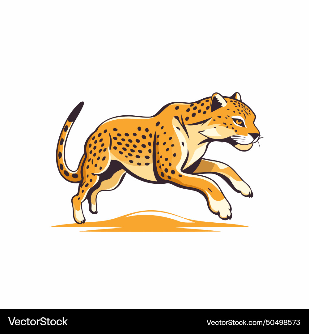 Cheetah Royalty Free Vector Image - VectorStock