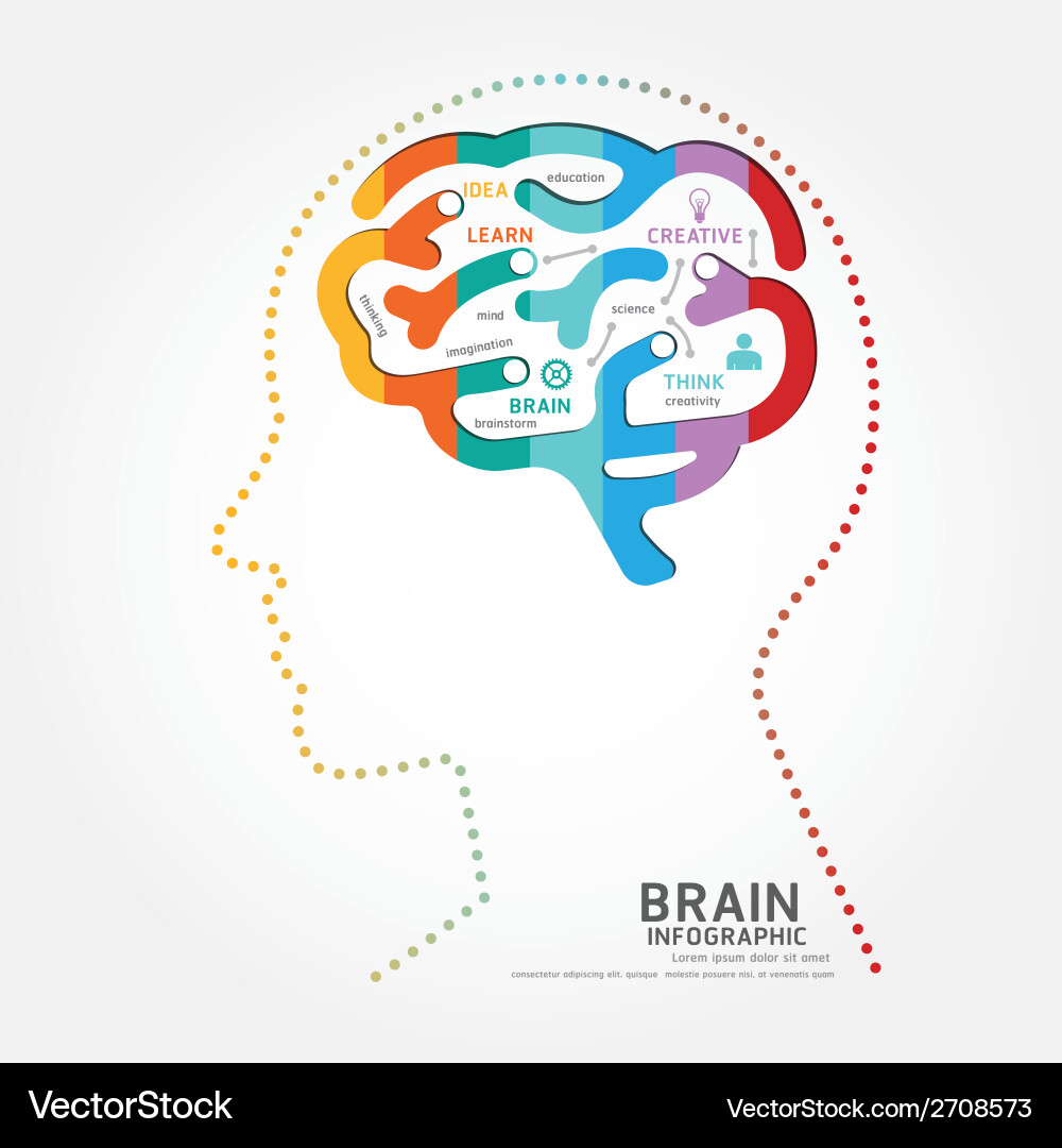 Infographics brain design diagram point style Vector Image