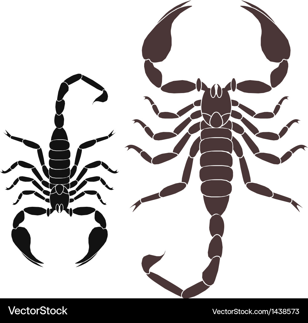 Scorpion Royalty Free Vector Image - VectorStock
