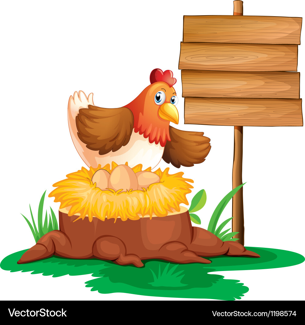 Hen Laying Eggs on Wooden Board Royalty Free Vector Image