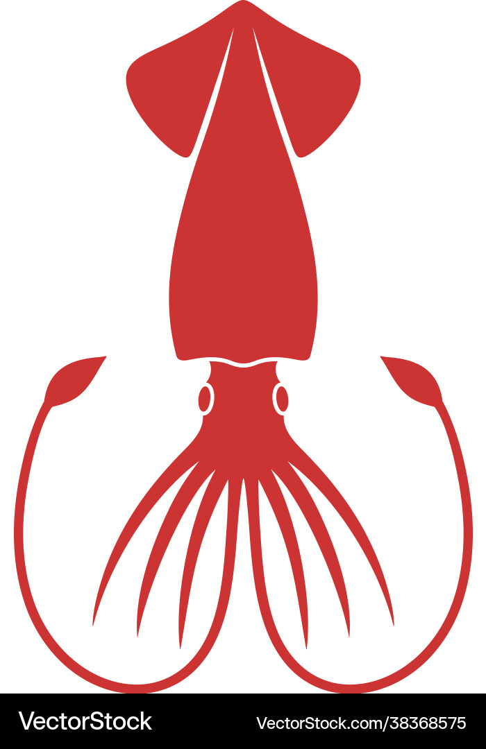 Squid Royalty Free Vector Image - VectorStock