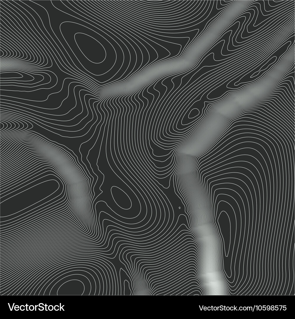 Topographic map background concept with space Vector Image