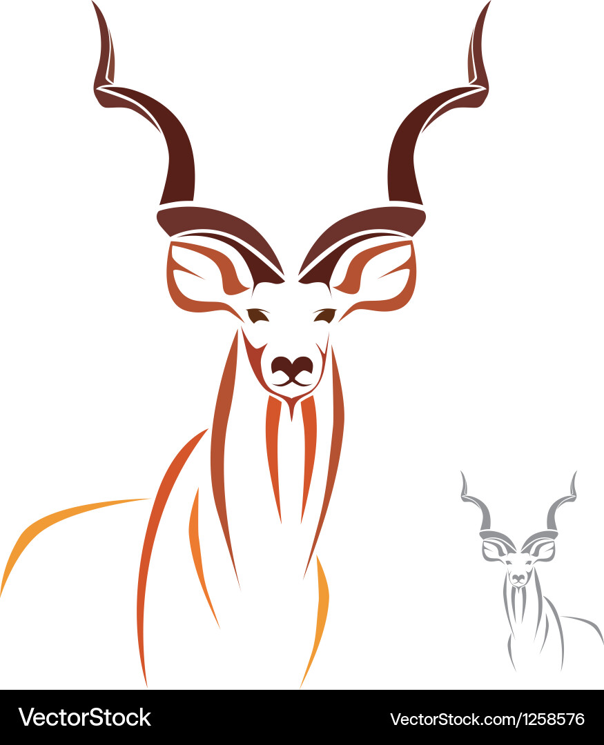 Kudu Royalty Free Vector Image - VectorStock