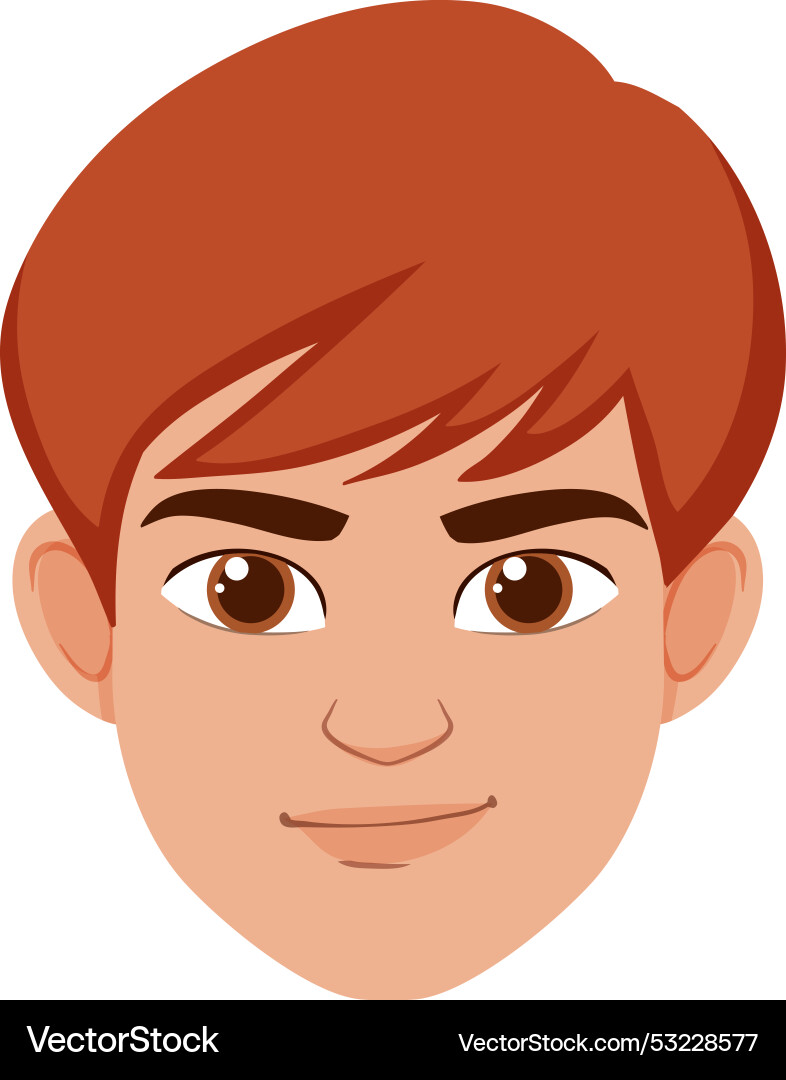 A smiling boys face Royalty Free Vector Image - VectorStock