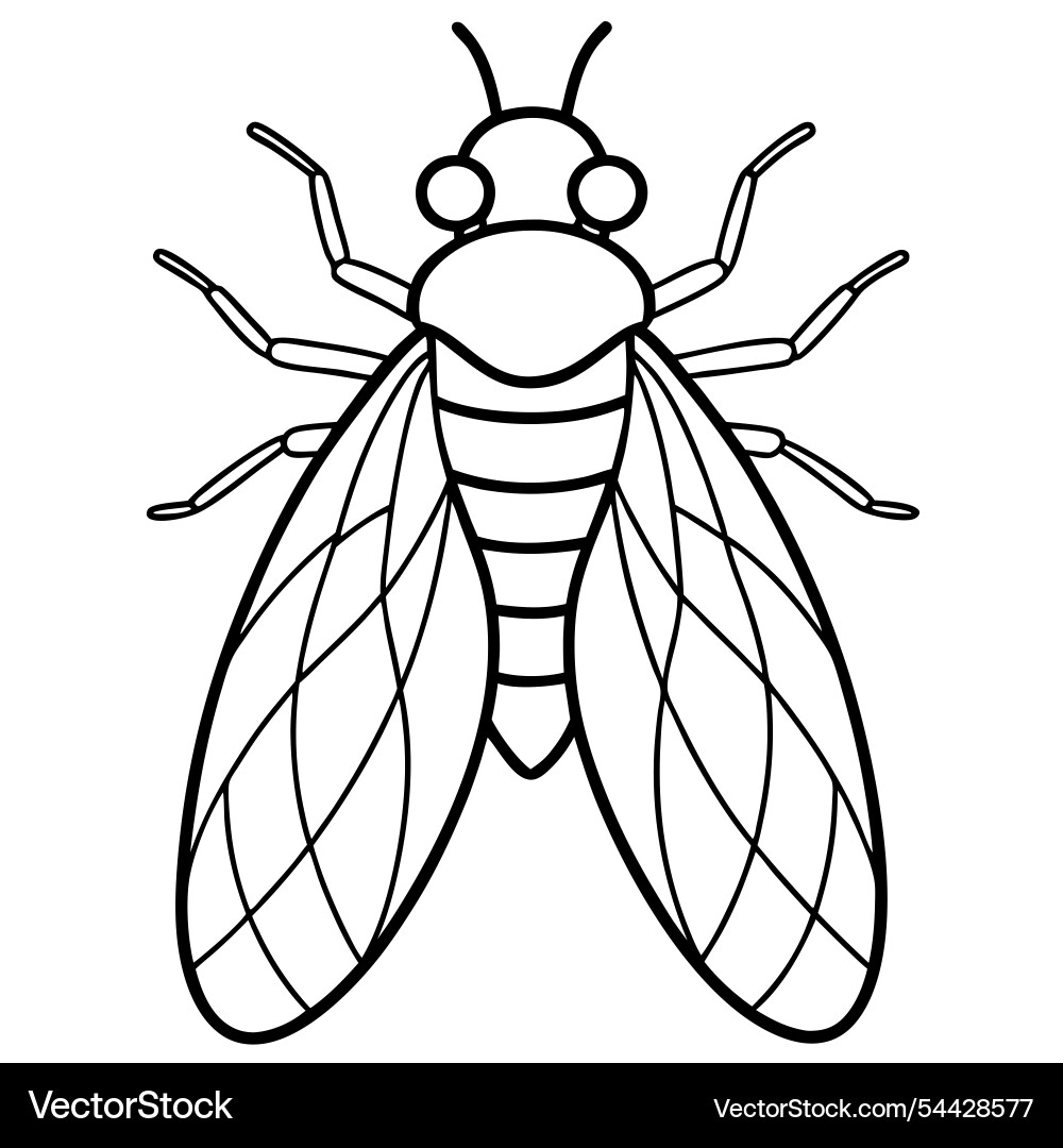 Cicada insect flat on white background Royalty Free Vector