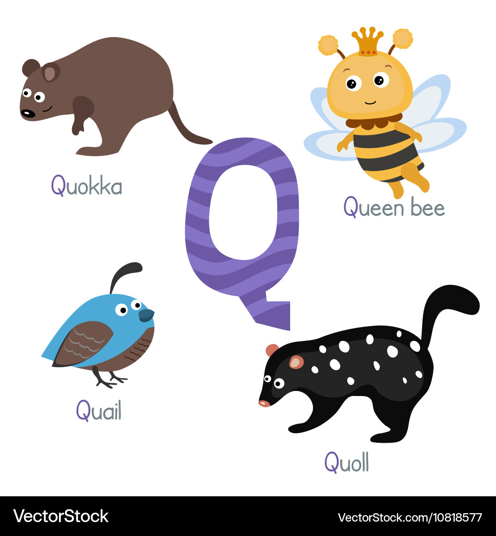 Cute zoo alphabet Royalty Free Vector Image - VectorStock