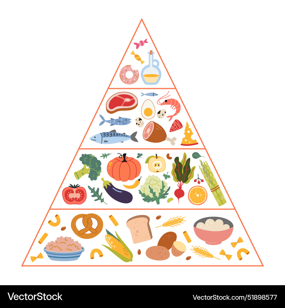 Healthy eating pyramid concept with different Vector Image