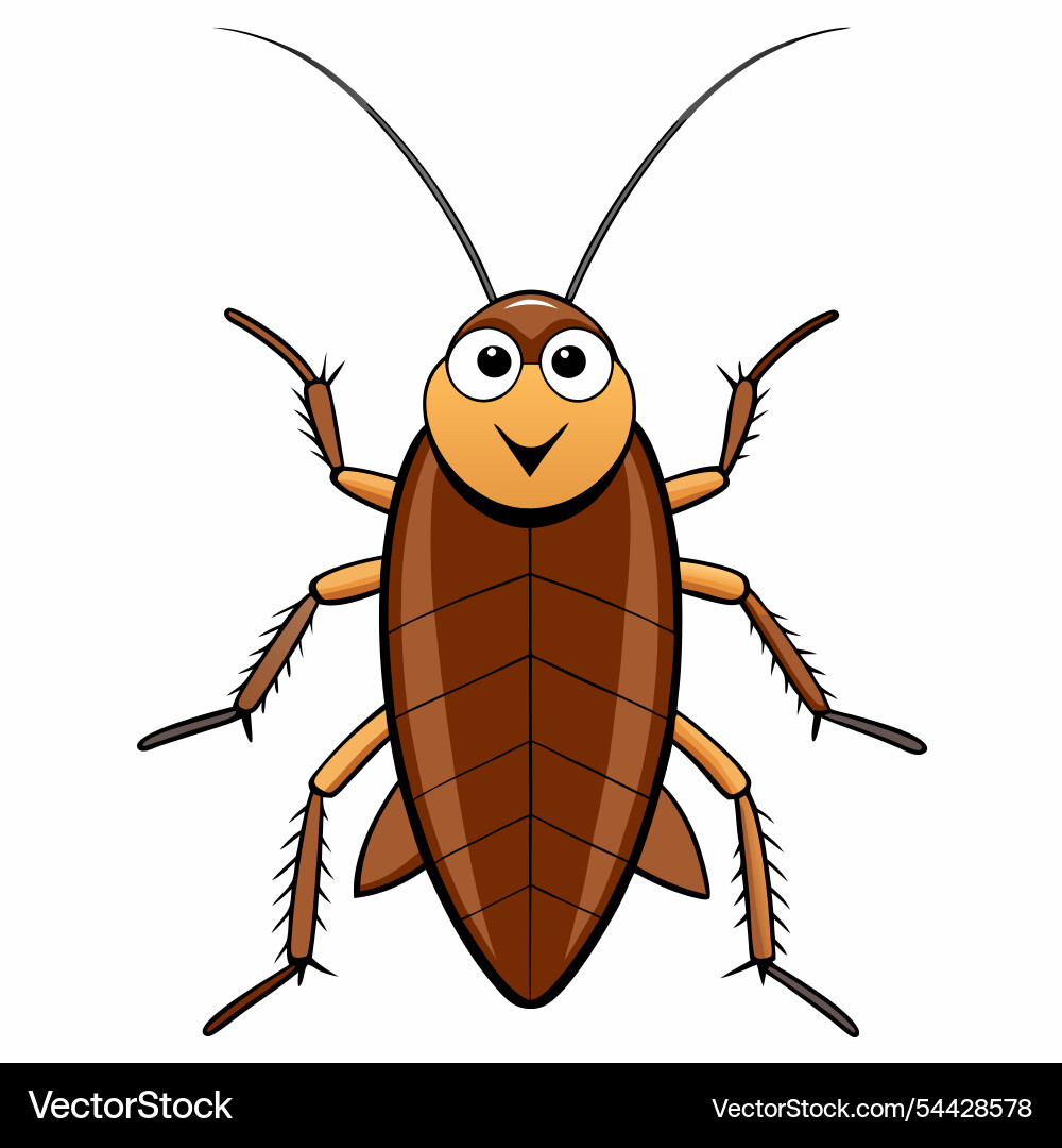 Cockroach insect flat on white background Vector Image