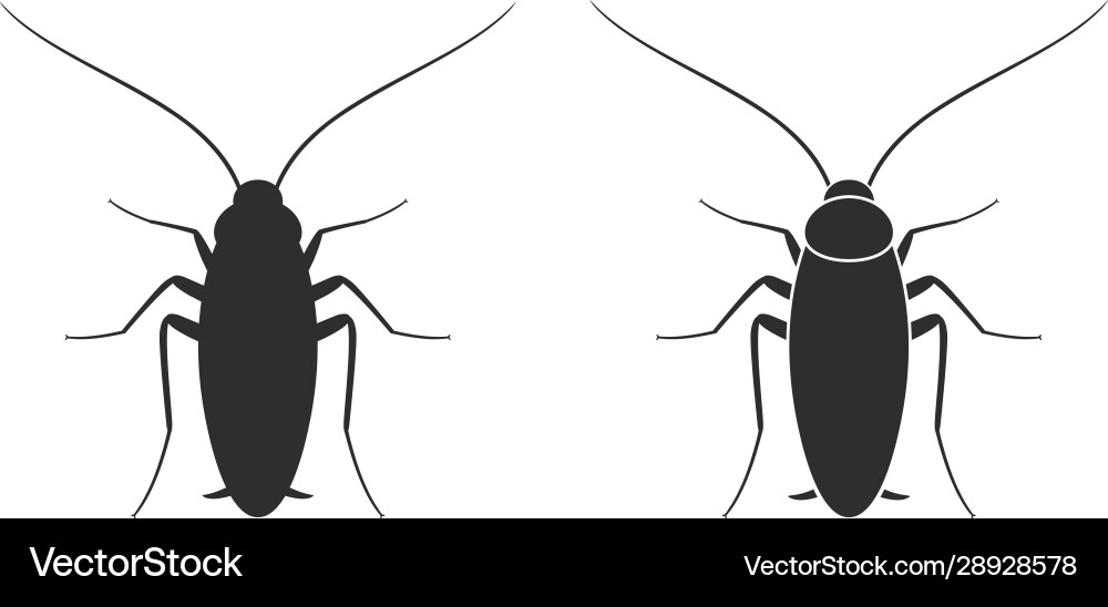 Cockroach Royalty Free Vector Image - VectorStock