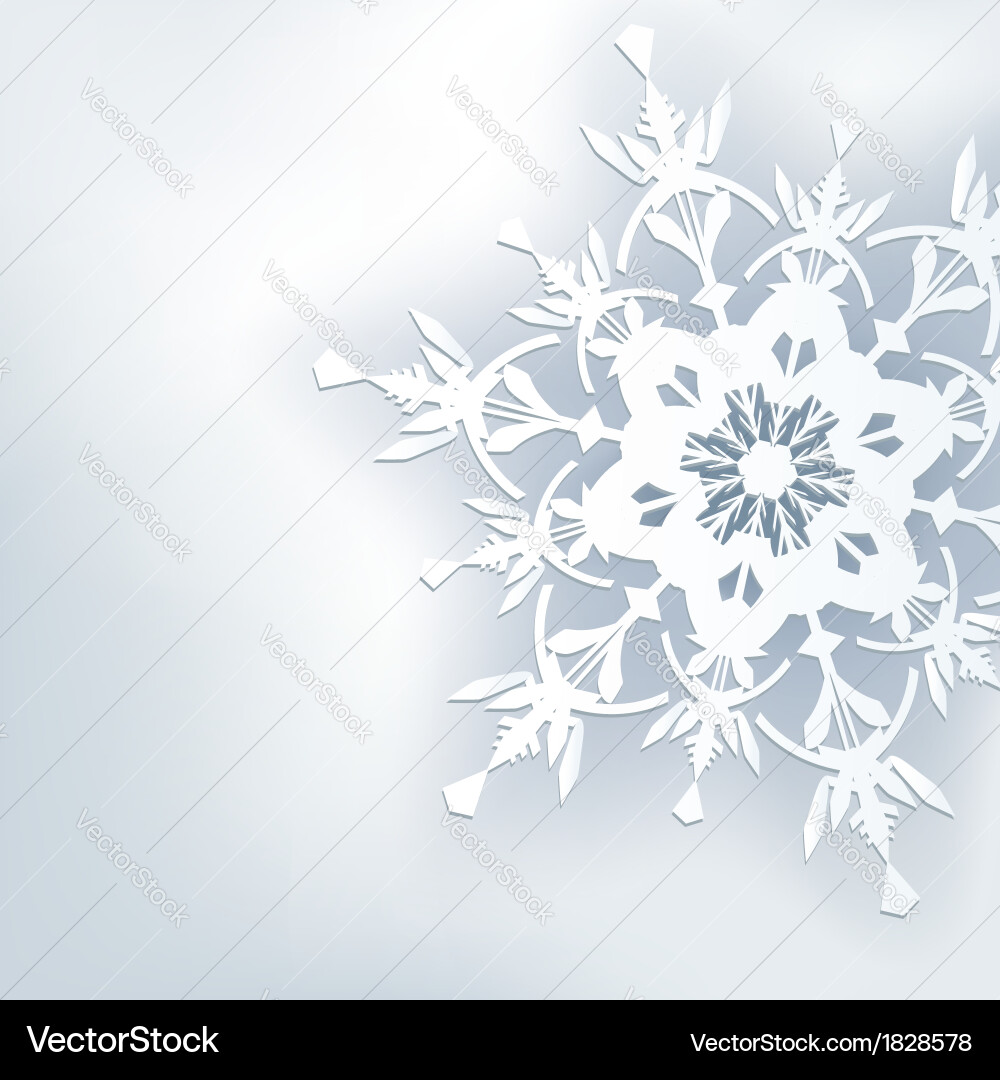 Stylish abstract background 3d ornate snowflake Vector Image