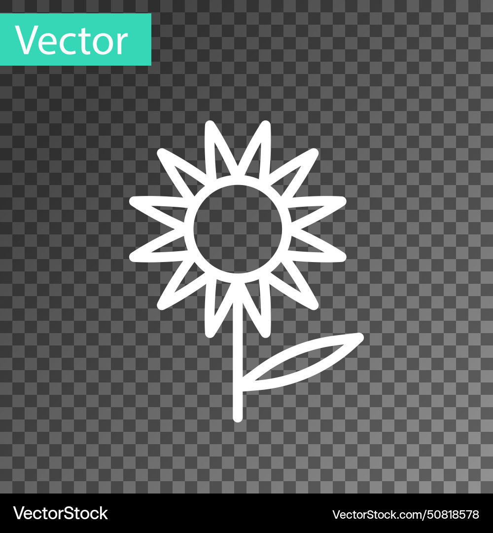 White line sunflower icon isolated on transparent Vector Image