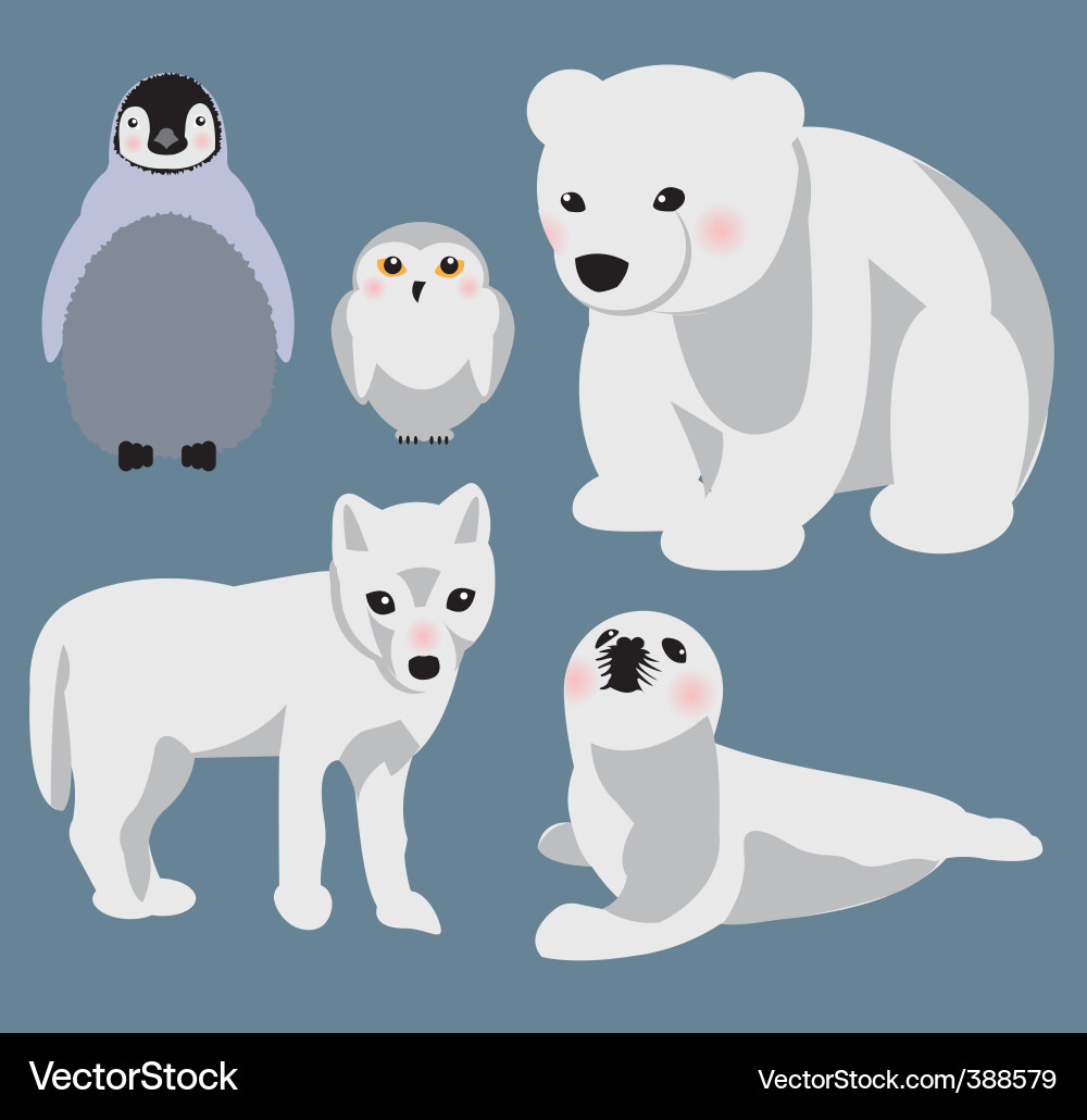 Arctic babies Royalty Free Vector Image - VectorStock