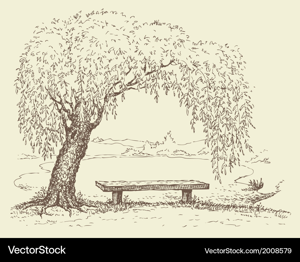Wooden bench under a willow tree by the lake Vector Image