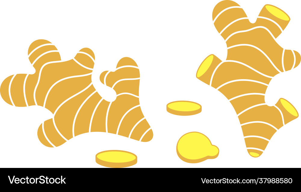 Ginger Royalty Free Vector Image - VectorStock