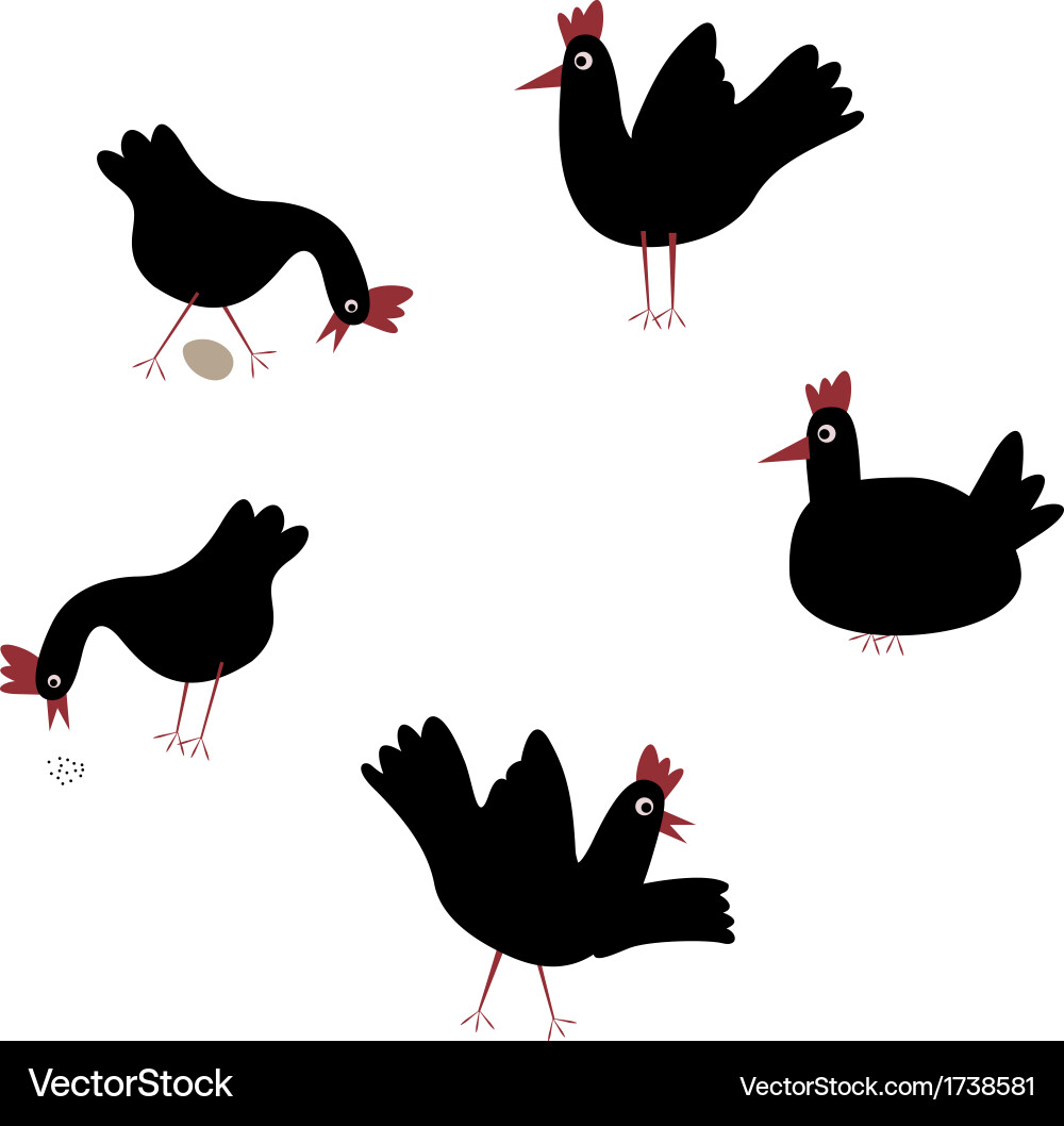 Black chicken Royalty Free Vector Image - VectorStock
