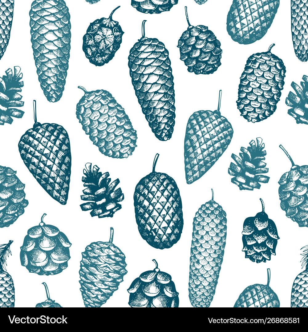 Hand Drawn Pine Cone Pattern Royalty Free Vector Image