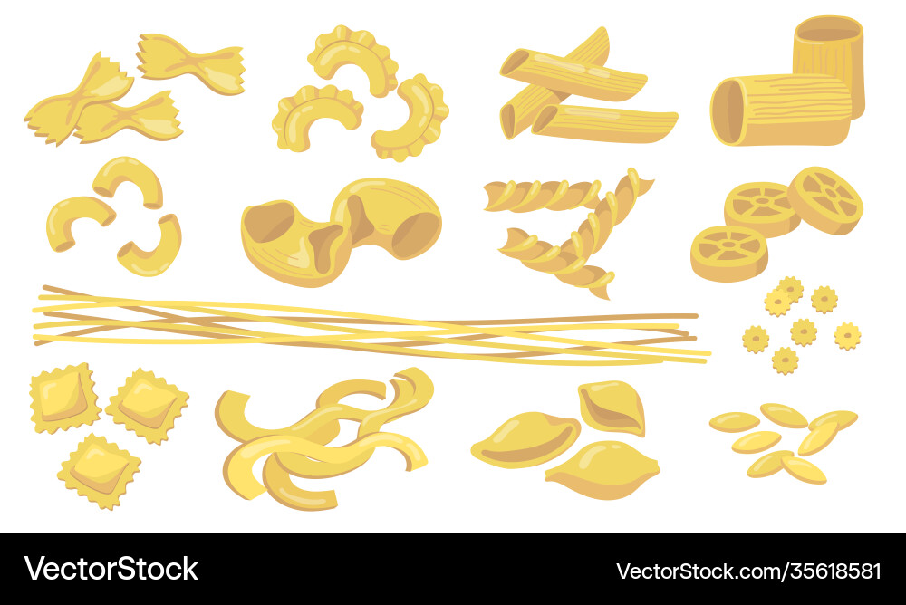 Variety pasta set Royalty Free Vector Image - VectorStock