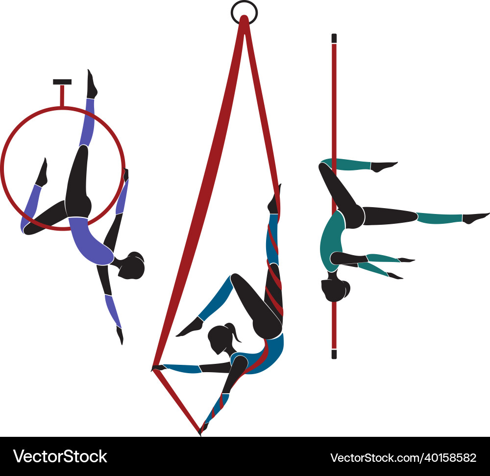 Aerial acrobatics Royalty Free Vector Image - VectorStock