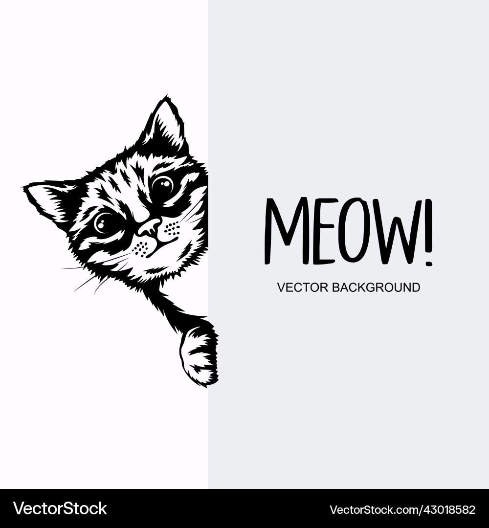 Monochrome hand drawn black white hiding Vector Image