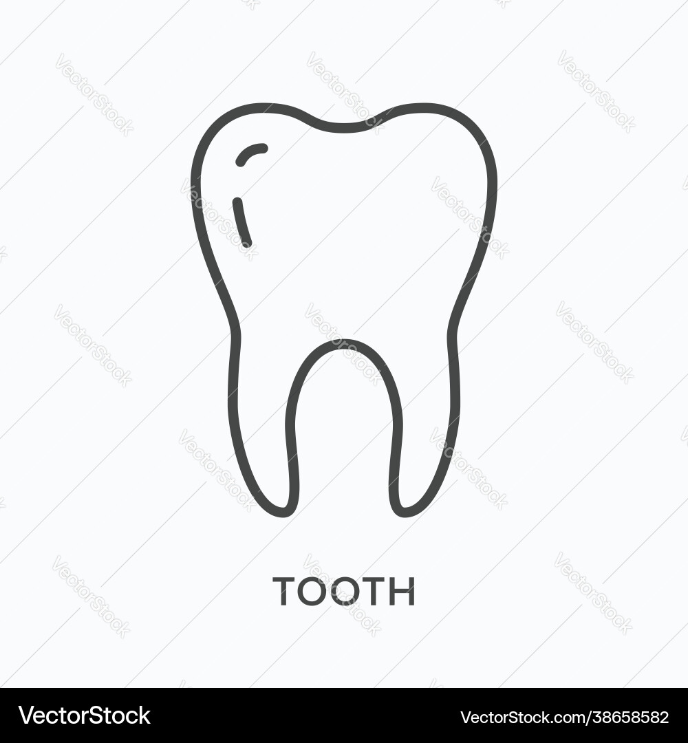 Tooth flat line icon outline Royalty Free Vector Image